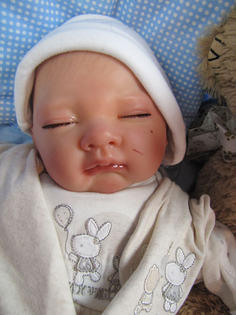 Reborn Baby Dolls For Adults at Randall Graves blog