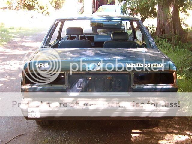 My '81 Corolla | Toyota Nation Forum