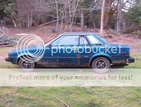 My '81 Corolla | Toyota Nation Forum